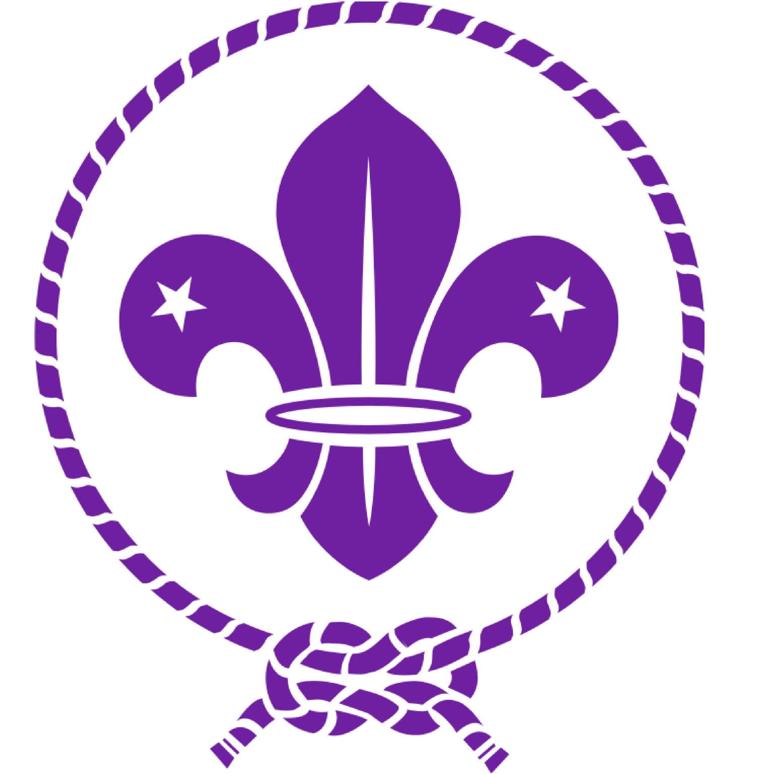 The Bharat Scouts & Guides