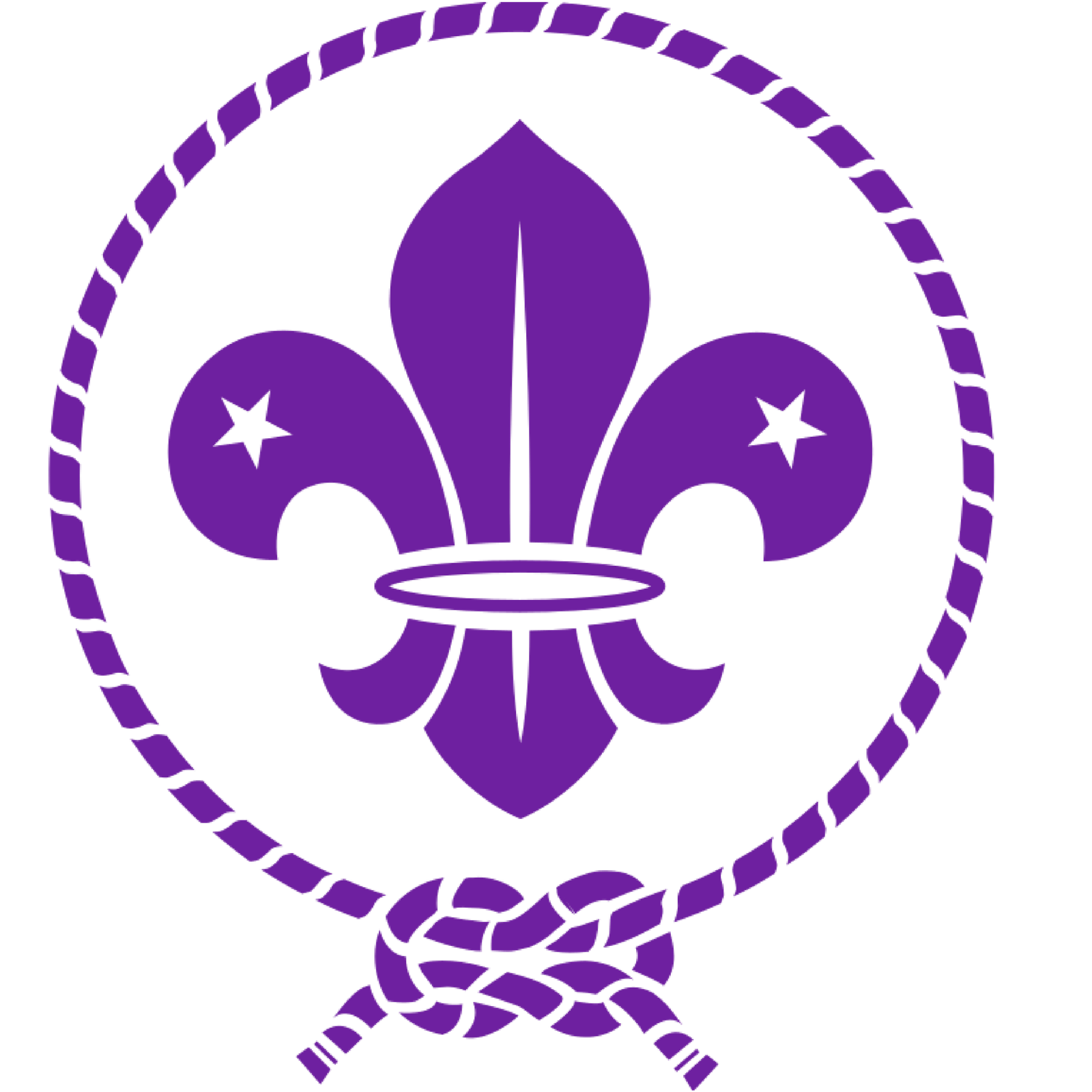 The Bharat Scouts & Guides